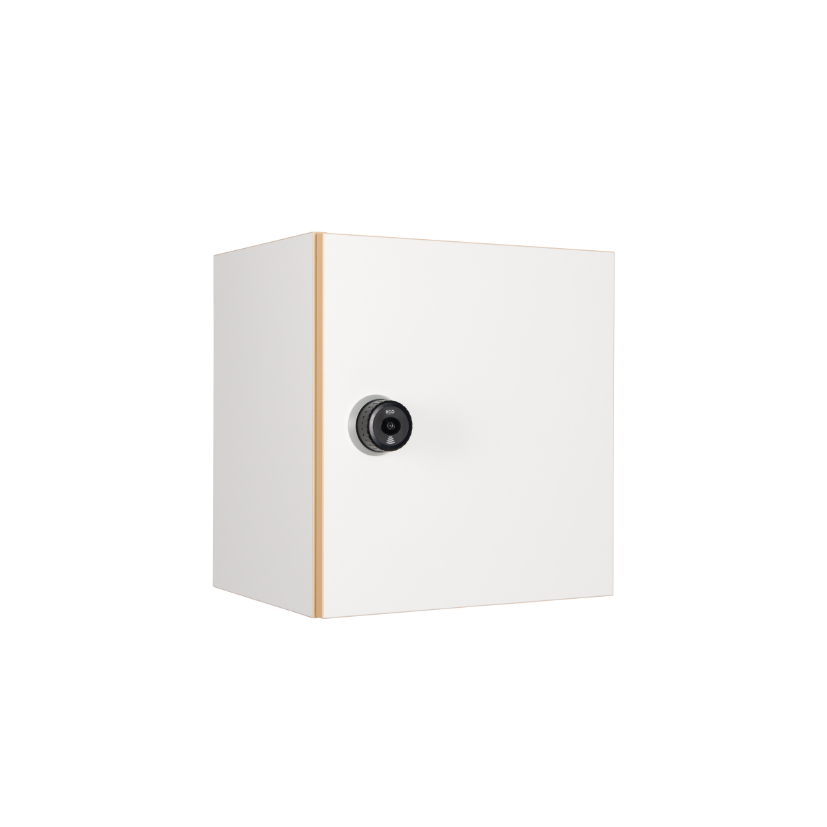 LockR-Cabinet MIF RCO Security